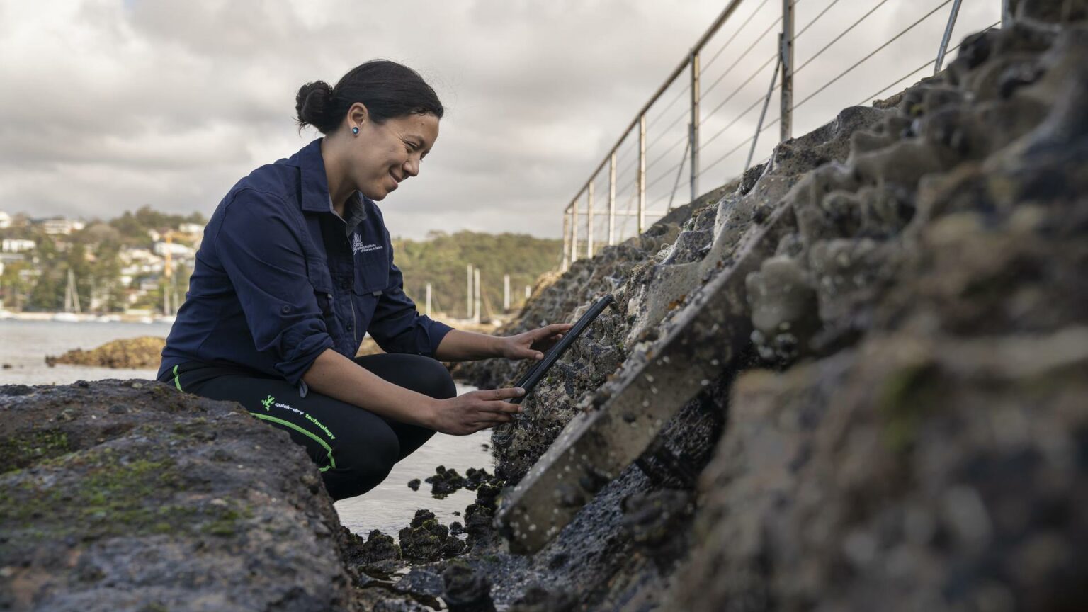 Living Seawalls - Earthshot Prize Finalist 2021