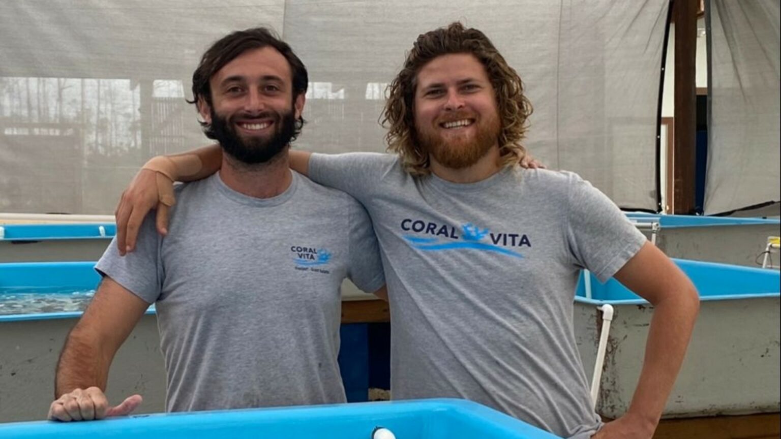How Coral Vita are reviving our oceans one reef at a time - The ...