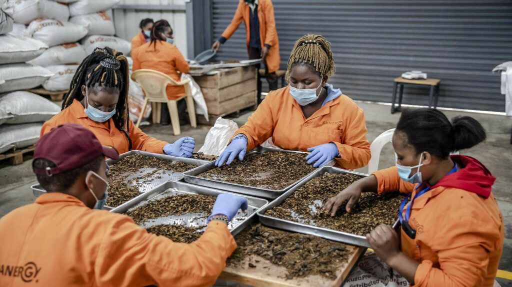 Sanergy - Earthshot Prize Finalist 2021