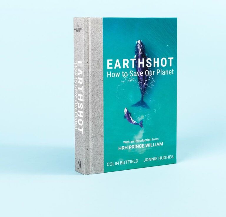Get Involved - The Earthshot Prize
