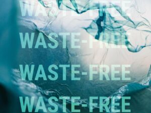 Build a Waste-Free World - The Earthshot Prize