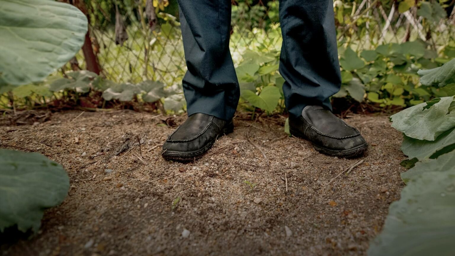 Desert Agricultural Transformation - Earthshot Prize Finalist 2022