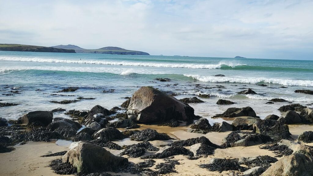 Notpla - Earthshot Prize Winner 2022