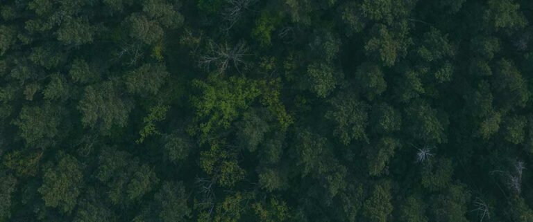 Winners & Finalists Listing - The Earthshot Prize