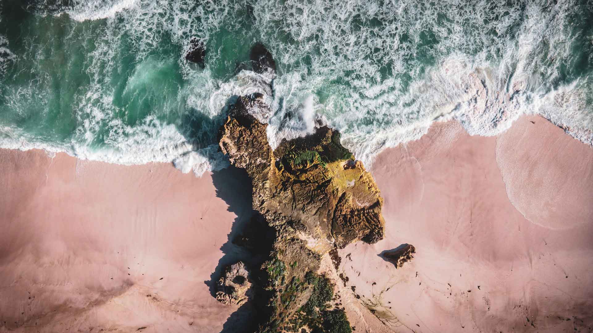 Counting the collective impact of our 2021 Finalists - The Earthshot Prize