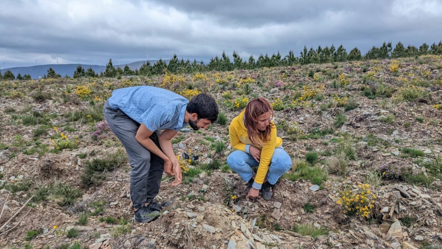 The Earthshot Prize: Urgent Optimism & Action to Repair the Planet