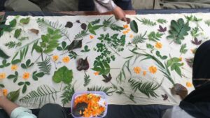 Restor: Connecting grassroots heroes for nature restoration on a global ...