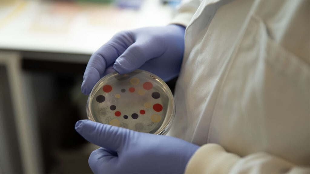 Colorifix - Earthshot Prize Finalist 2023