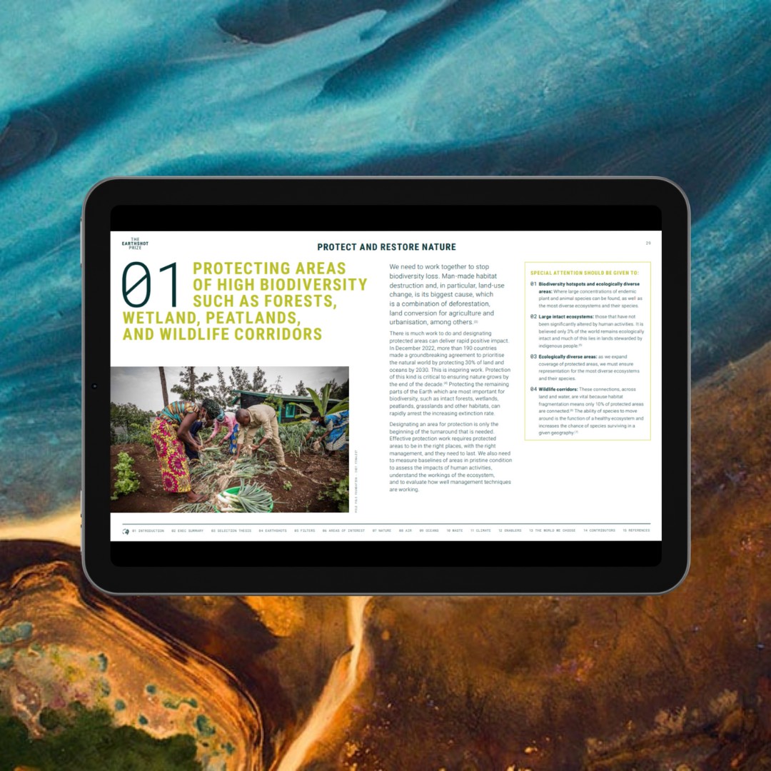 How We Search for Solutions - The Earthshot Prize