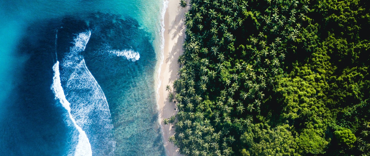 Notpla - Earthshot Prize Winner 2022