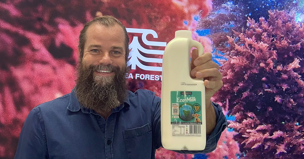 Sea Forest launches world's first climate-friendly dairy milk - The ...