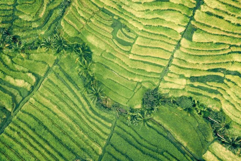 Protect and Restore Nature - The Earthshot Prize