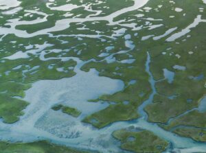 Build a Waste-Free World - The Earthshot Prize