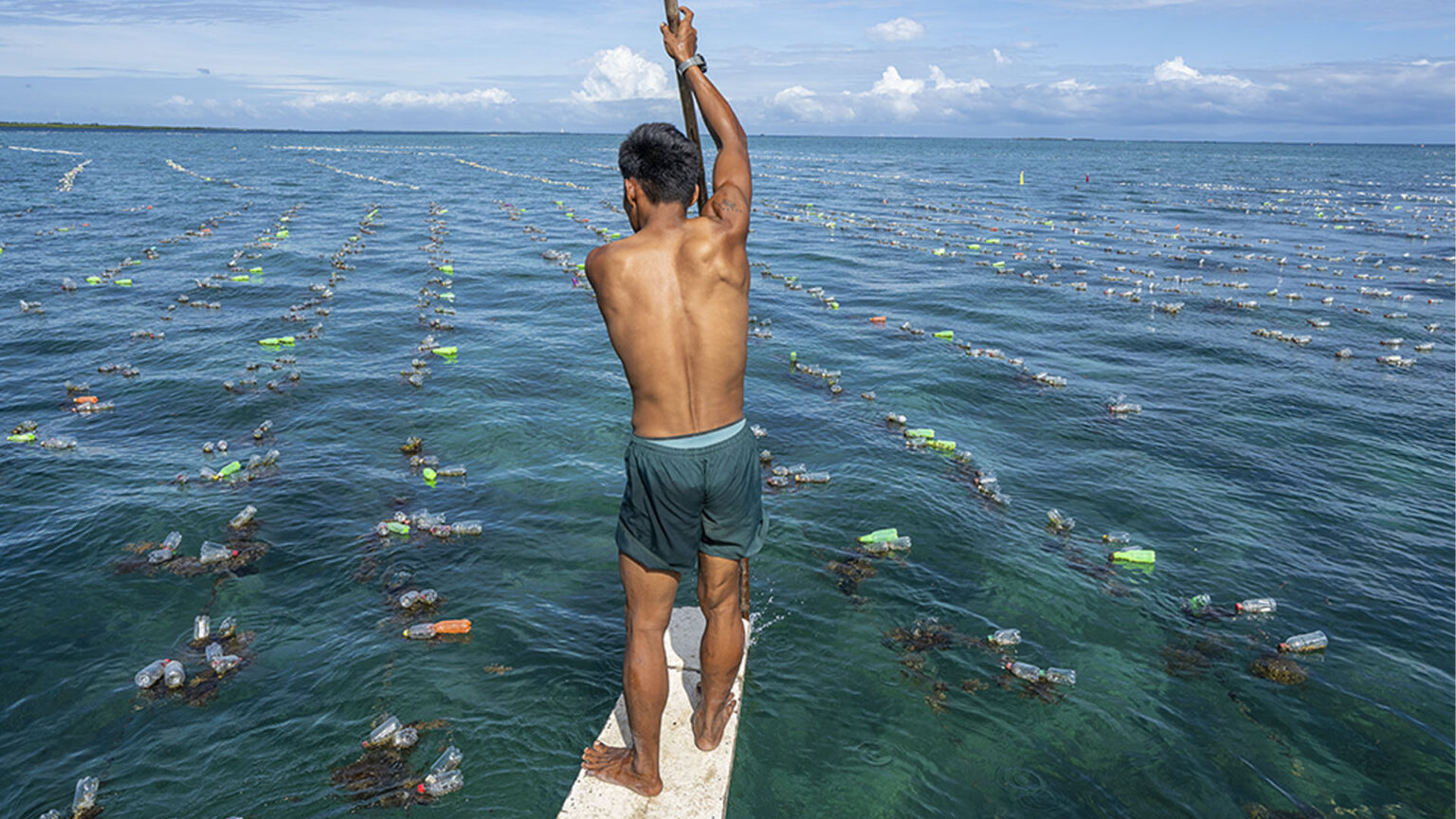 Coast 4C - Earthshot Prize Finalist 2024