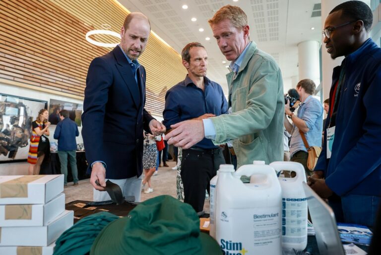 How we're accelerating seaweed’s abundant potential to revive our ...